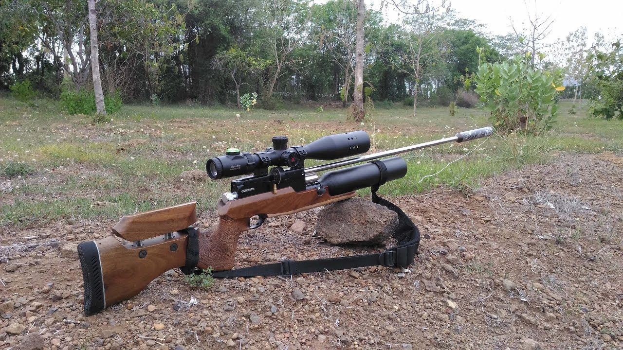 Escopetas de perdigones: Una mirada detallada a estas armas de aire ...